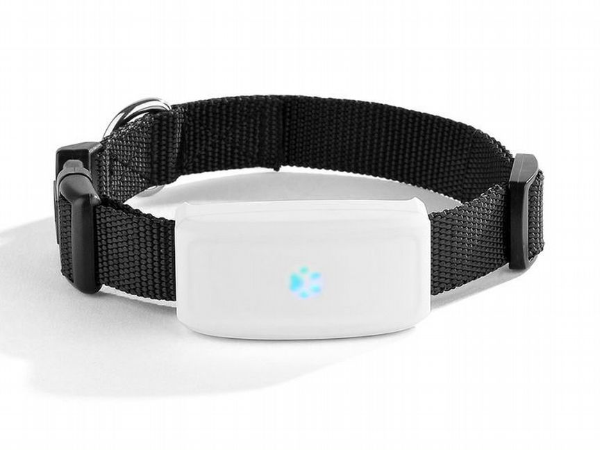 GPS трекер ошейник для животных tkstar TK911