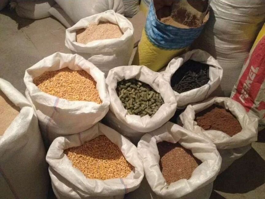 Комбикорм для всех видов сельскохозяйственной птиц