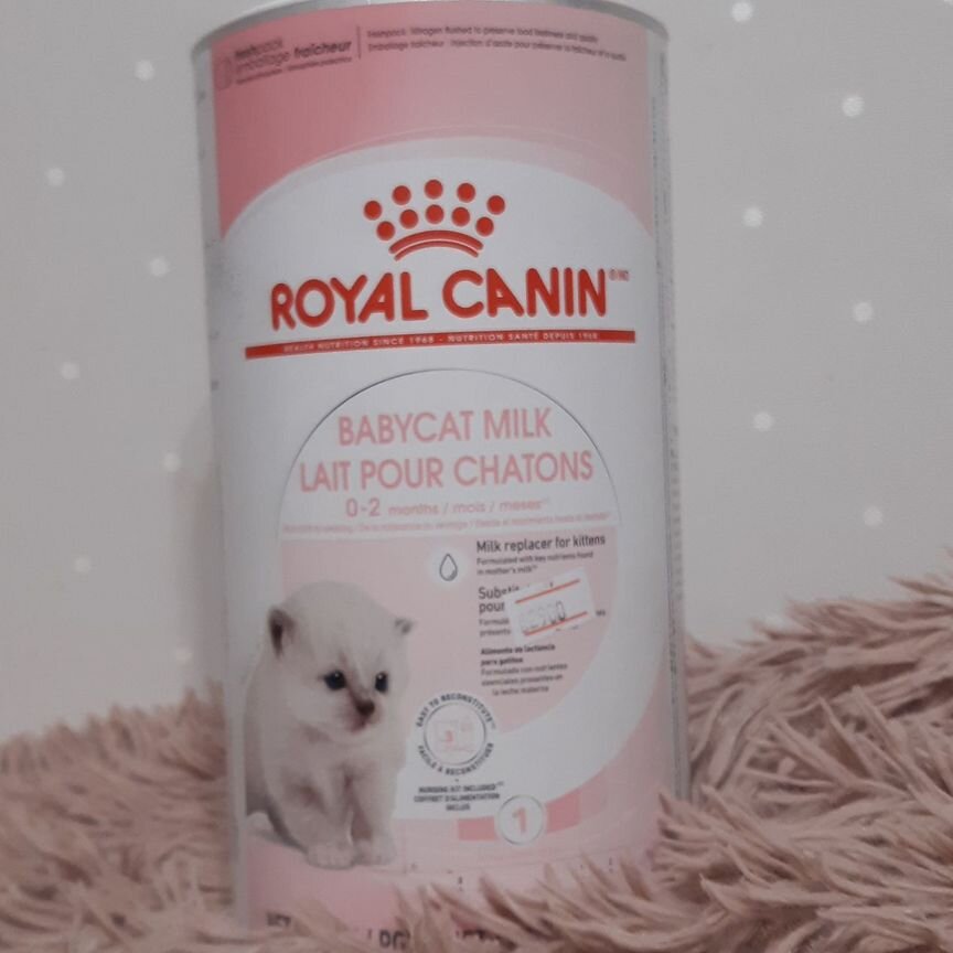 Сухое молоко для котят royal canin