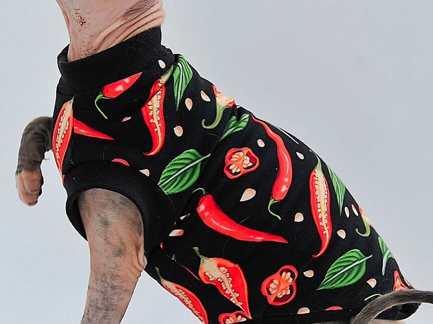 Кофта одежда для кошки (сфинкса) в ассортименте