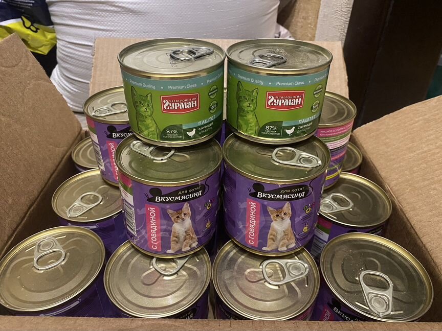 Корм для котят