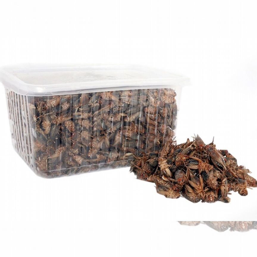 Сверчки банановые 100 гр