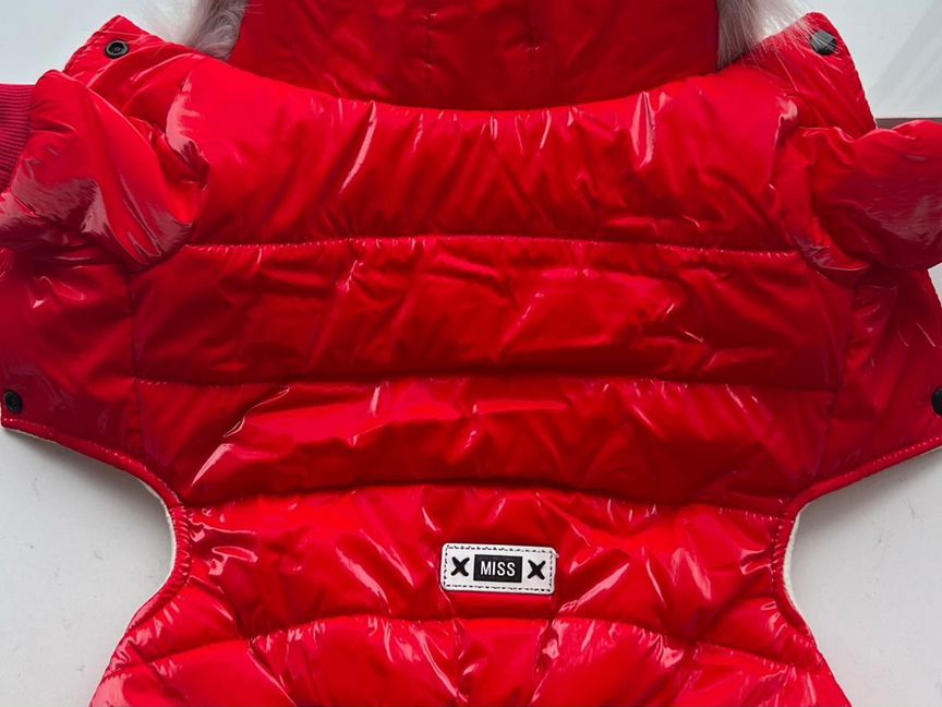 Зимняя куртка для маленьких собак