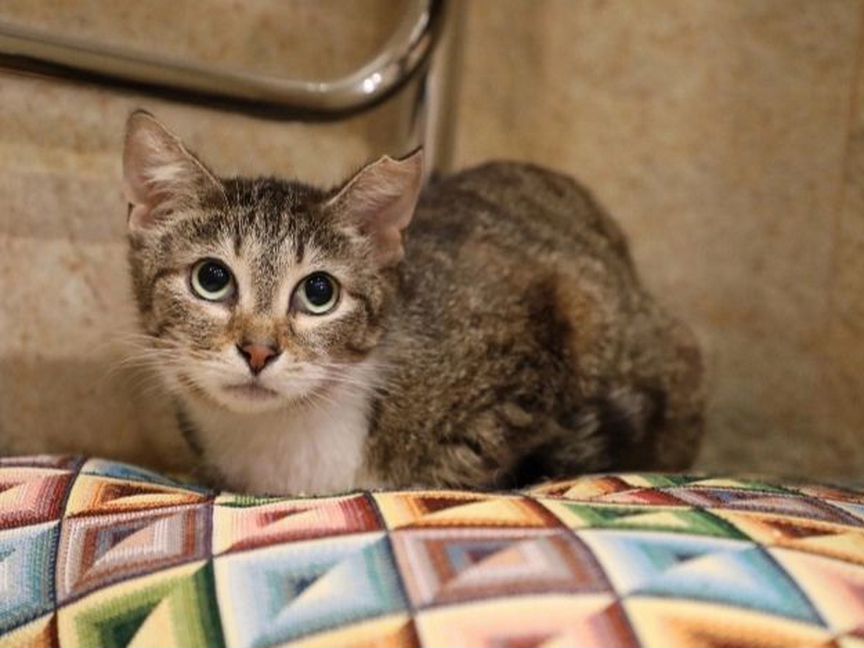 Королева Марго ищет семью