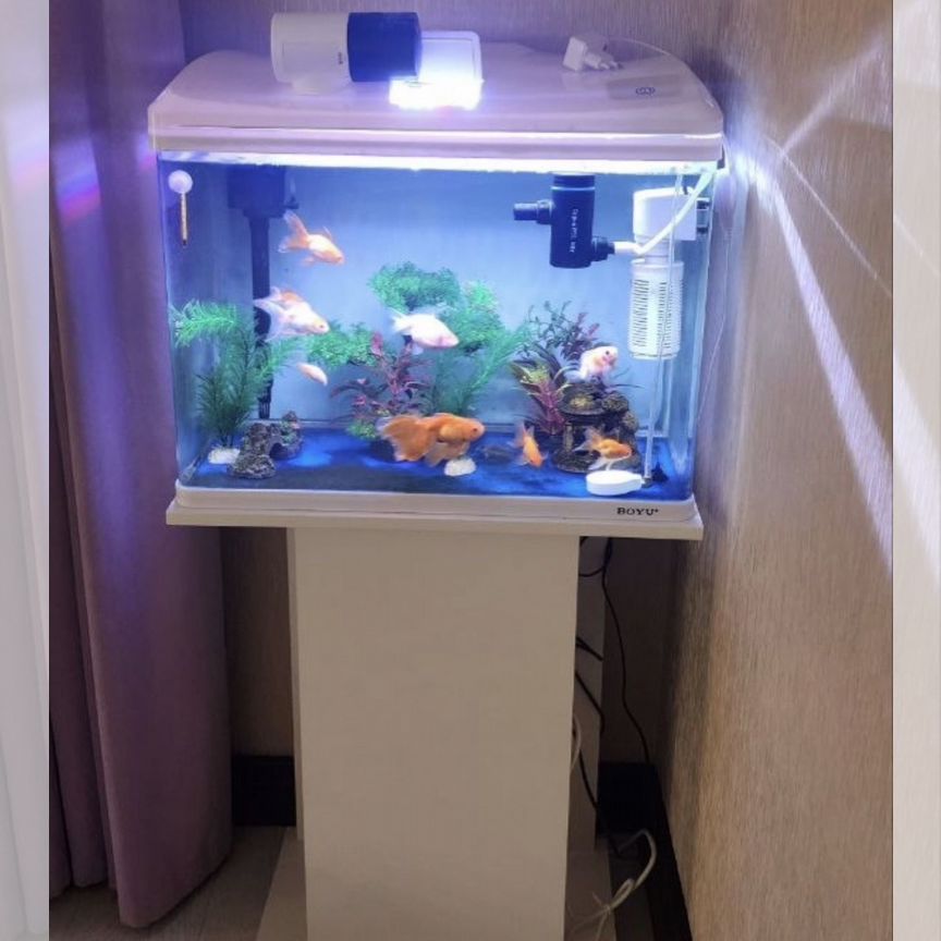 Boyu аквариум новый с тумбой лед подсветкой фильт