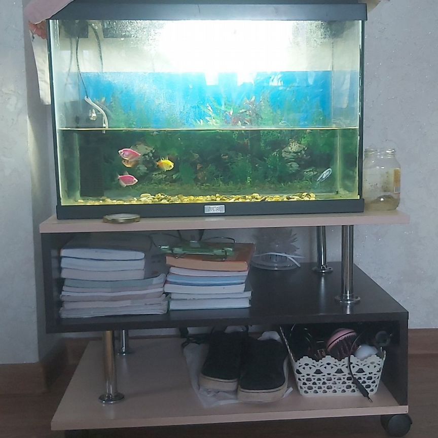 Аквариумные рыбки