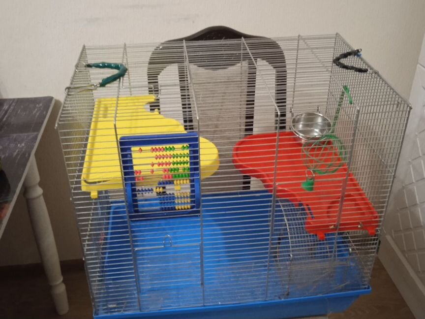 Клетка для грызунов большая и корм