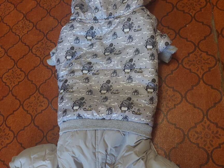 Одежда для собак