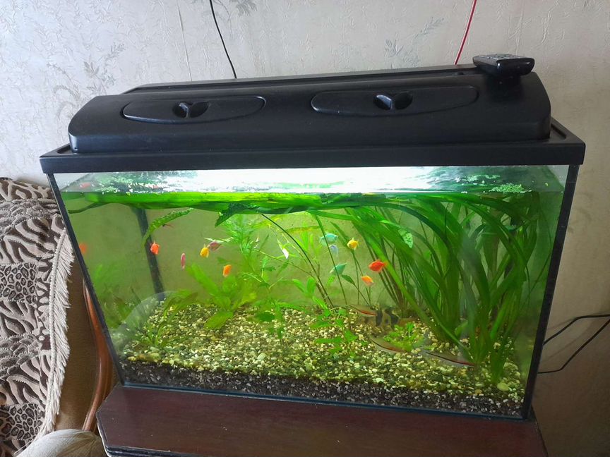 Украшение для аквариума