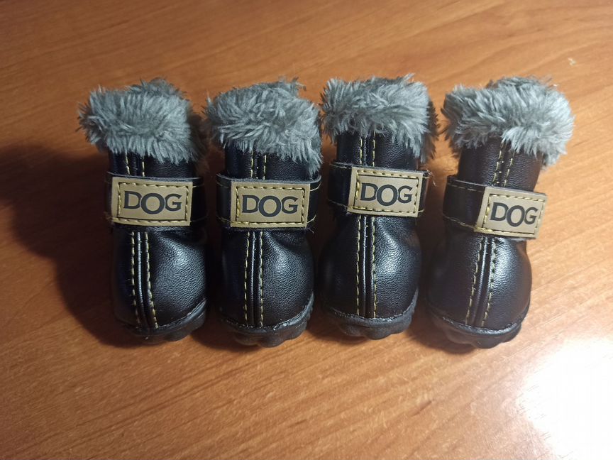 Зимние ботинки и носки для собак