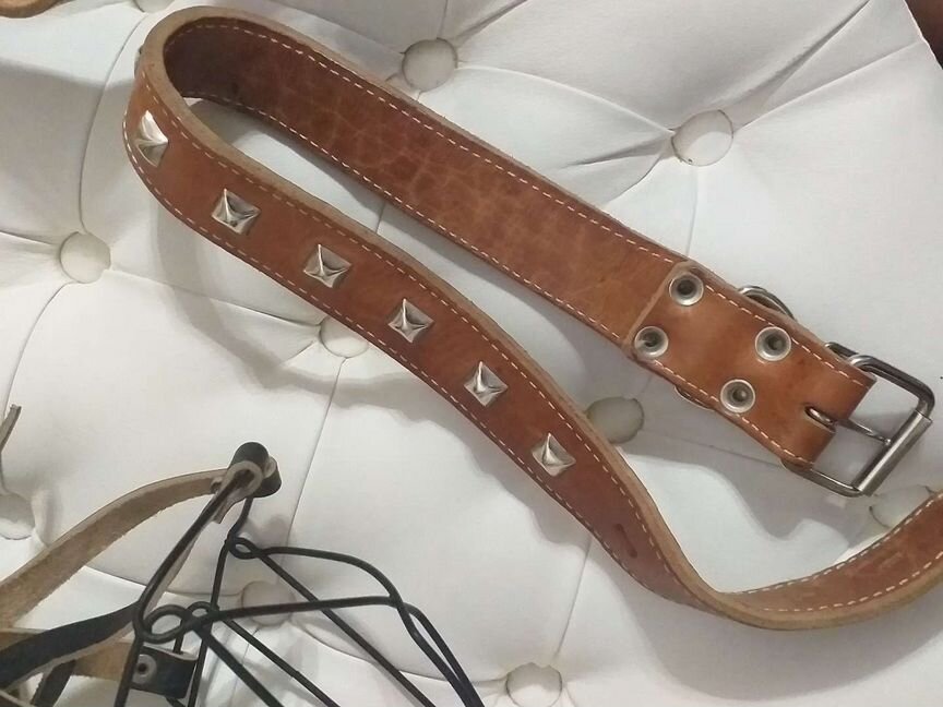 Ошейник для собак