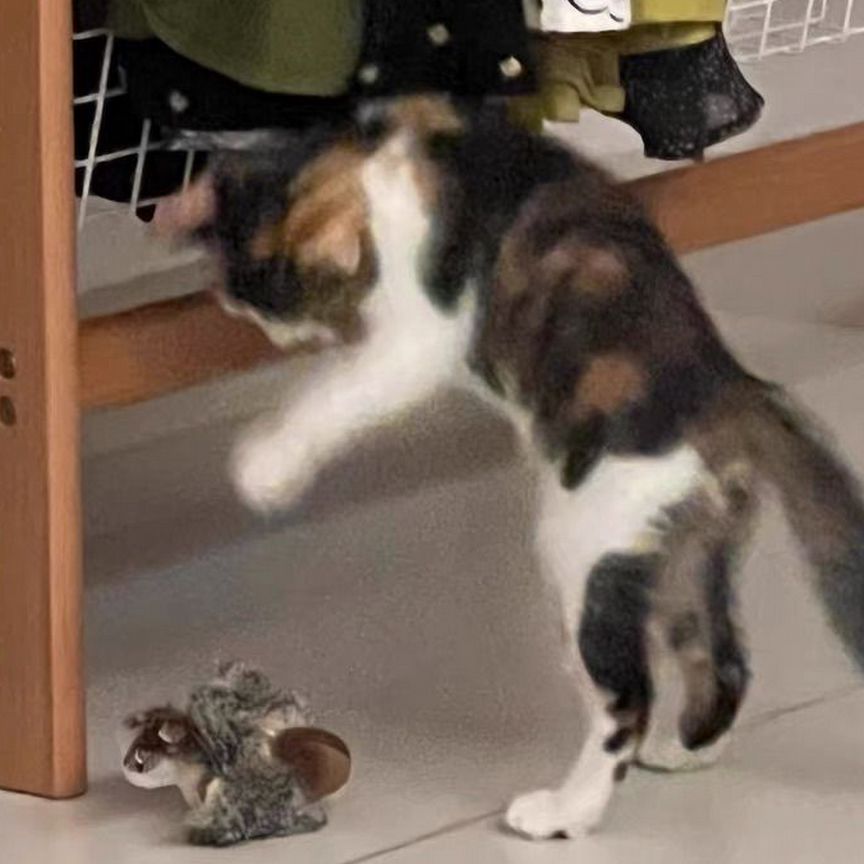 Игрушка для кота