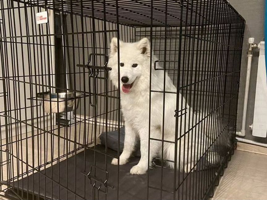 Клетка для животных