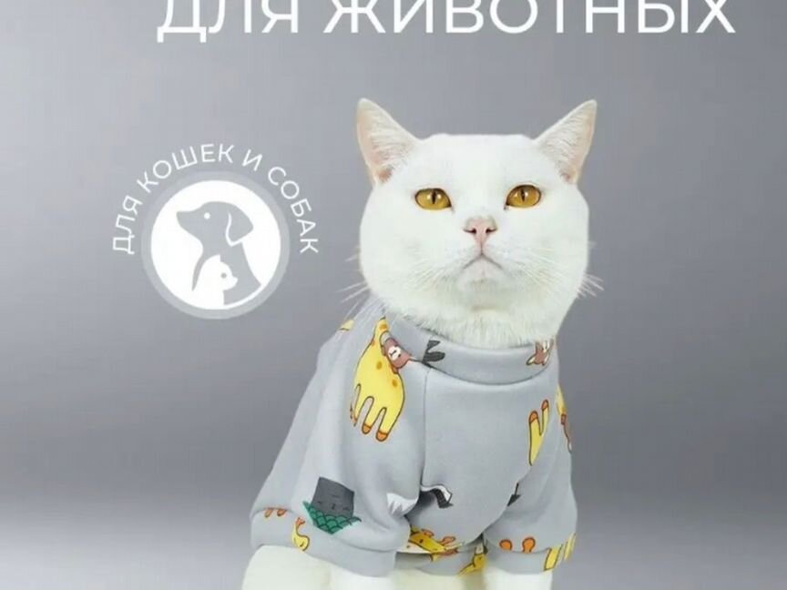 Толстовка для животных новая