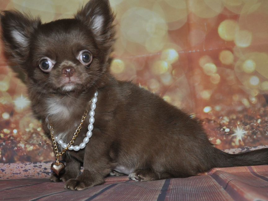 Совершенство