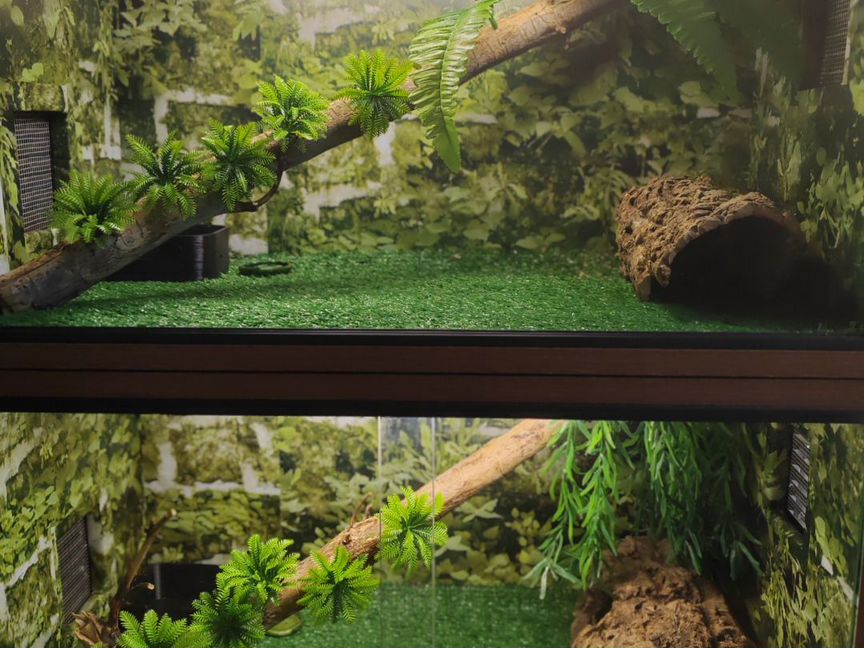 Террариум 60х30х30