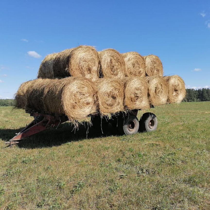 Сено в рулонах 2022