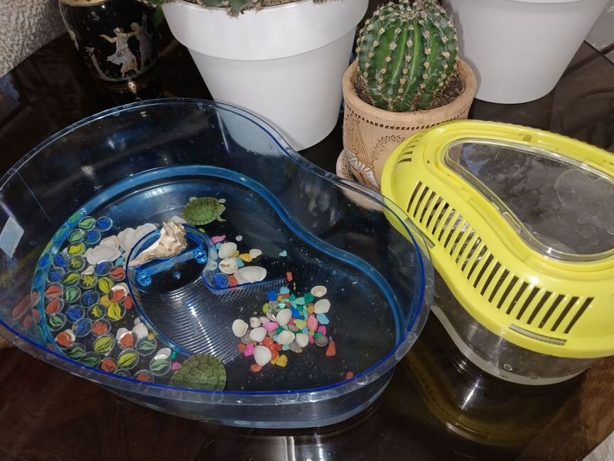 Террариум для декоративных черепашек