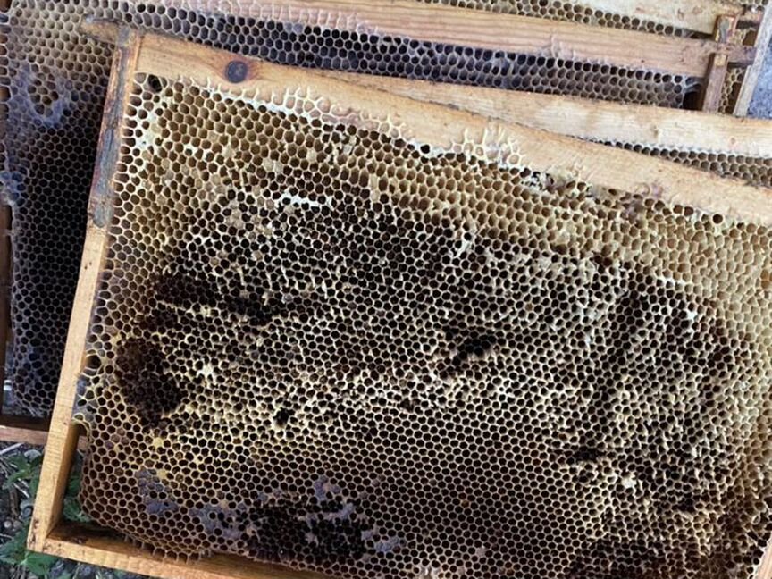 Рамки с вощиной