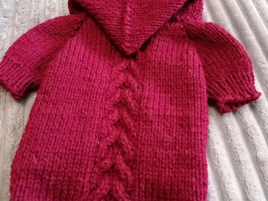 Полукомбинезон для собак мелких пород