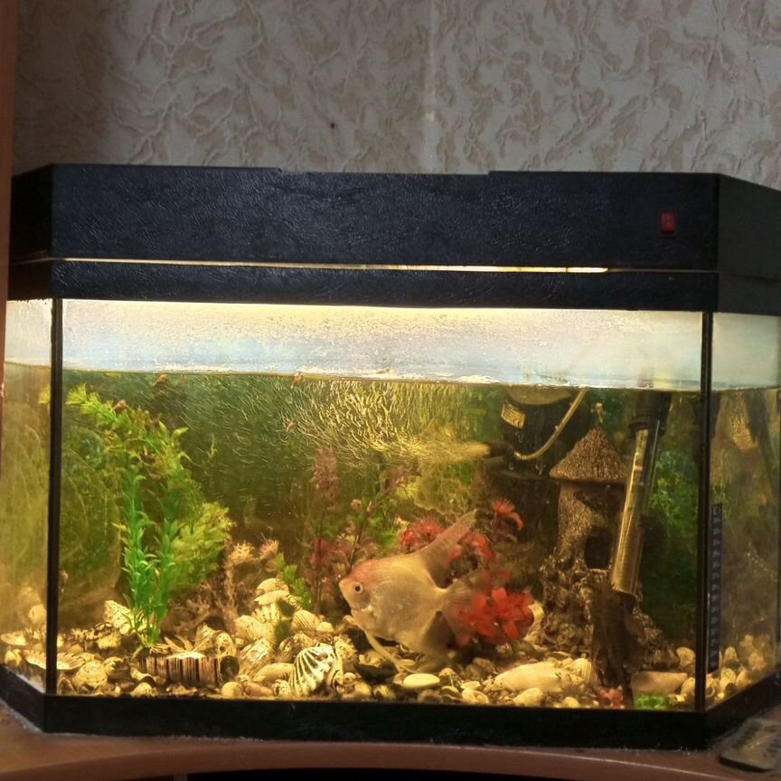 Продам угловой аквариум