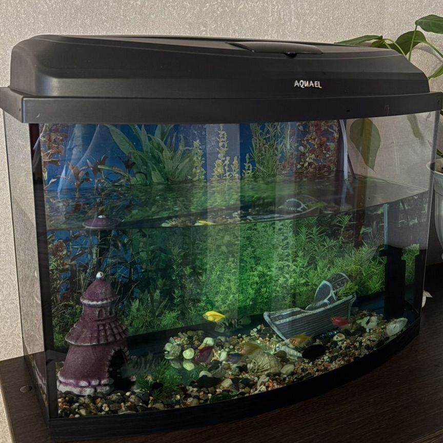 Аквариум с рыбками 60литров