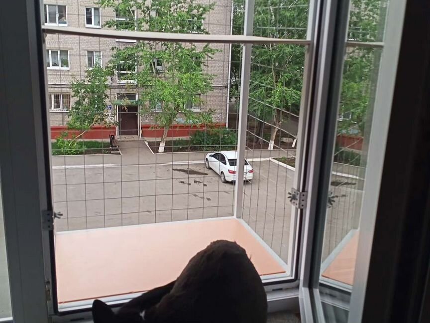 Балкон для животных на окно