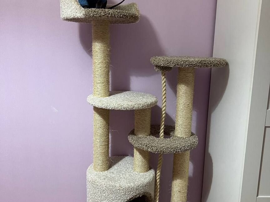 Когтеточка с домиком бу