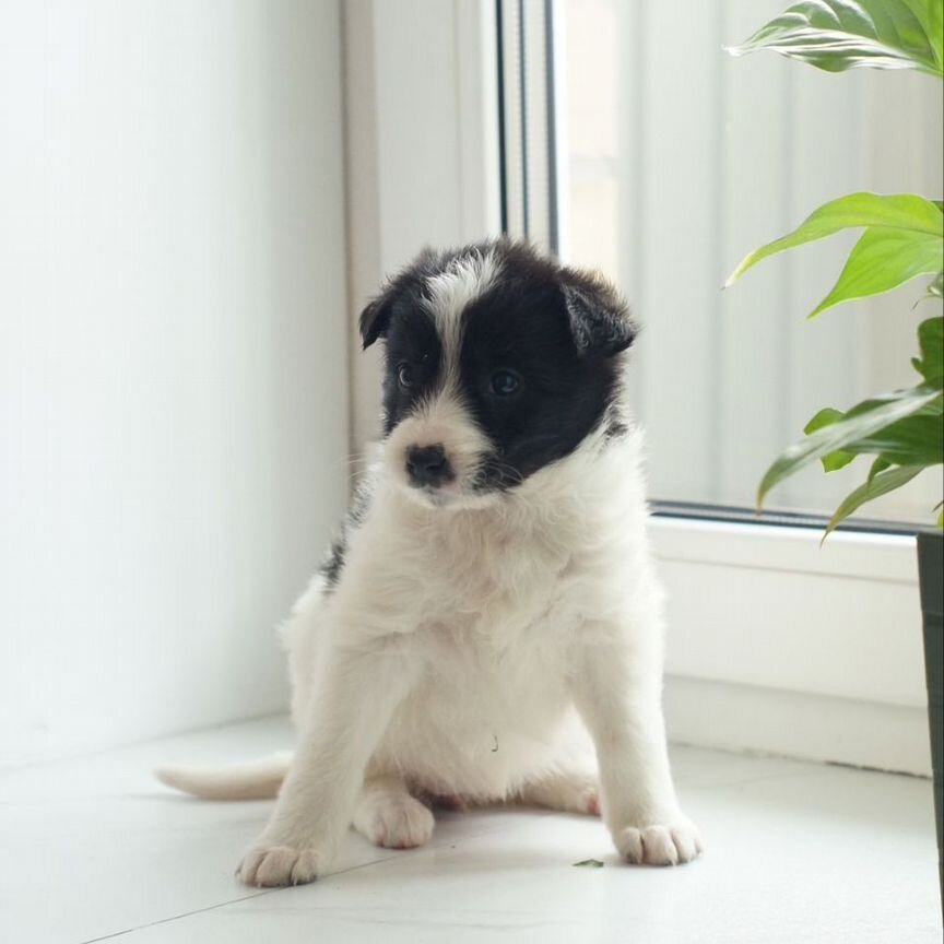 Малыши в заботливые ручки)