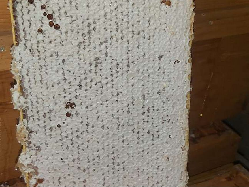 Рамки для пчел