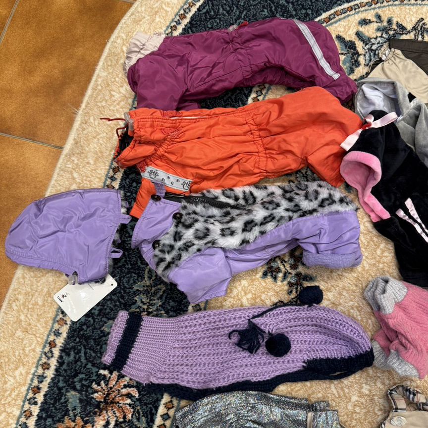 Одежда для маленьких пород собак