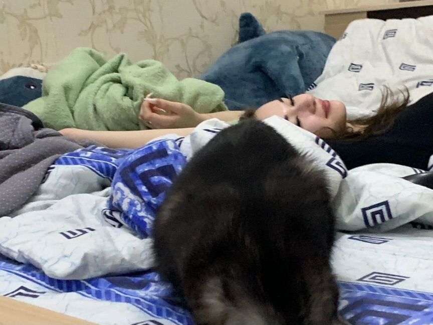 Кот 3 года отдам в добрые руки бесплатно