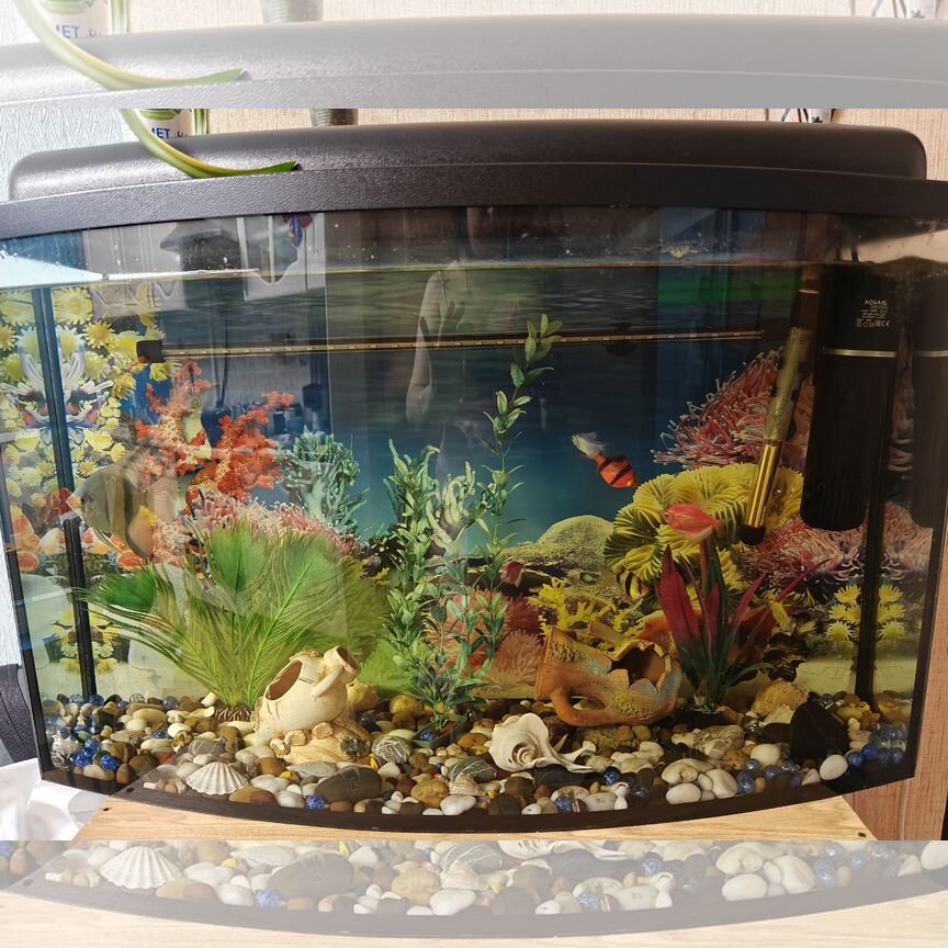 Аквариум с рыбками, инвентарём и тумбой