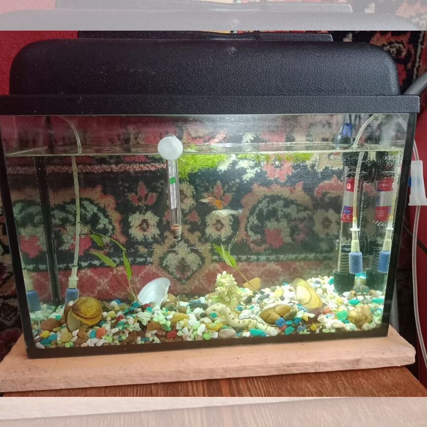 Аквариум 15 литров