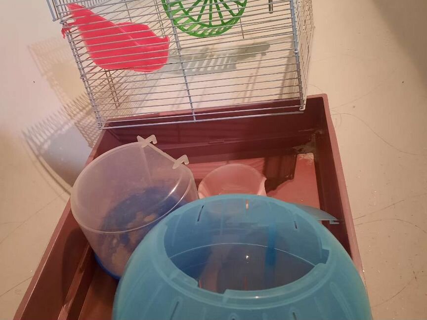 Клетка со всеми принадлежностями для хомячка