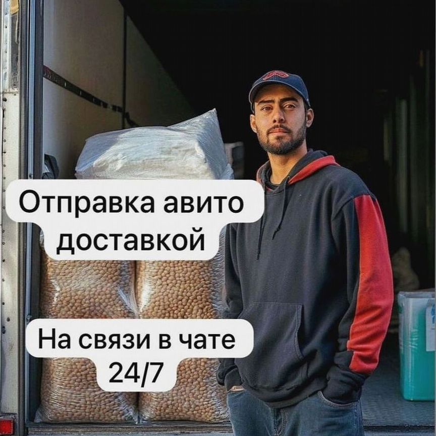 Корм для собак