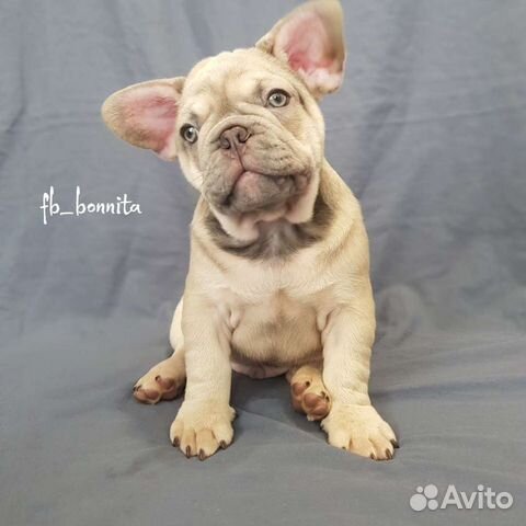 Космический малыш