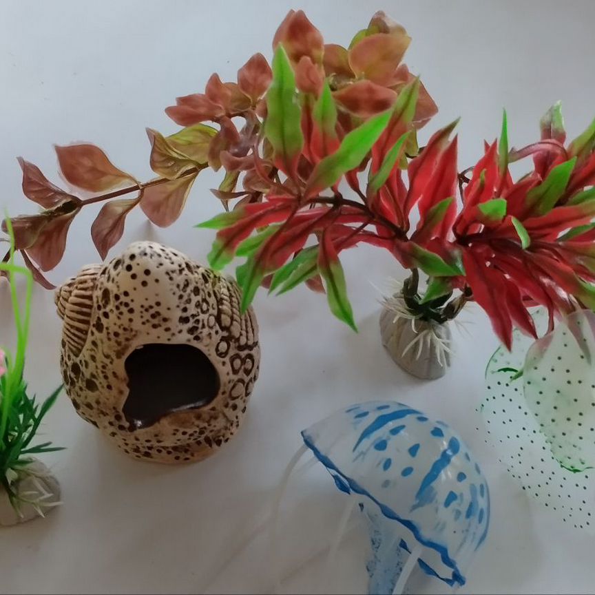 Ракушки, камушки, декор для аквариума