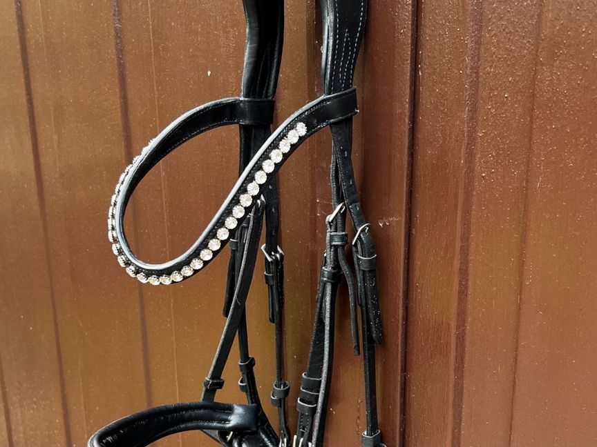 Оголовье для лошади