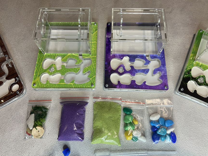 Муравьиная ферма с муравьями новая