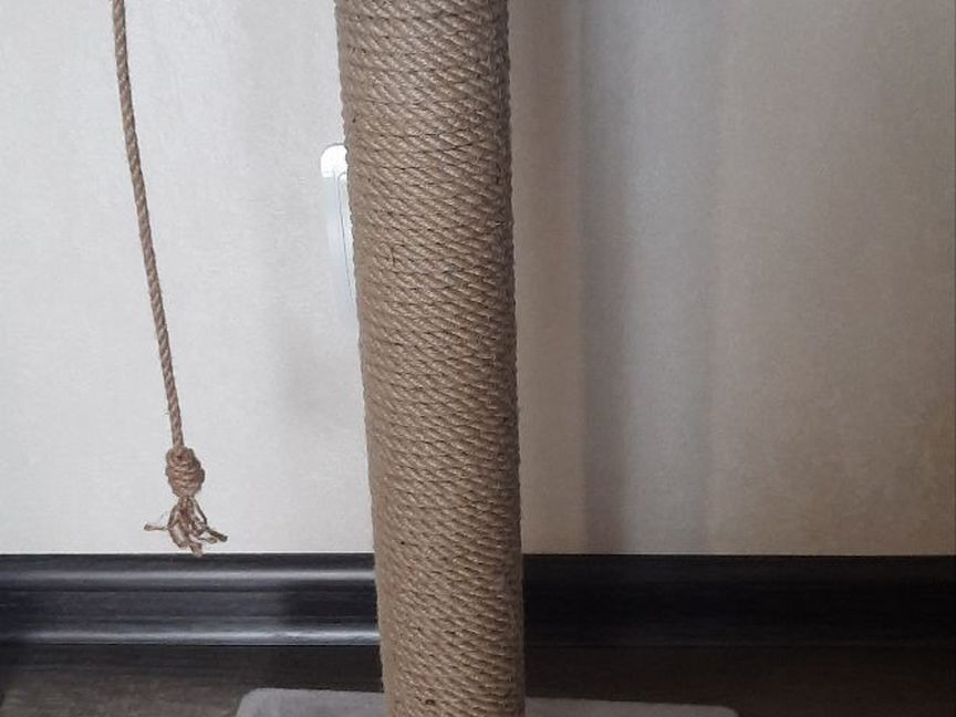 Когтеточка небольшая