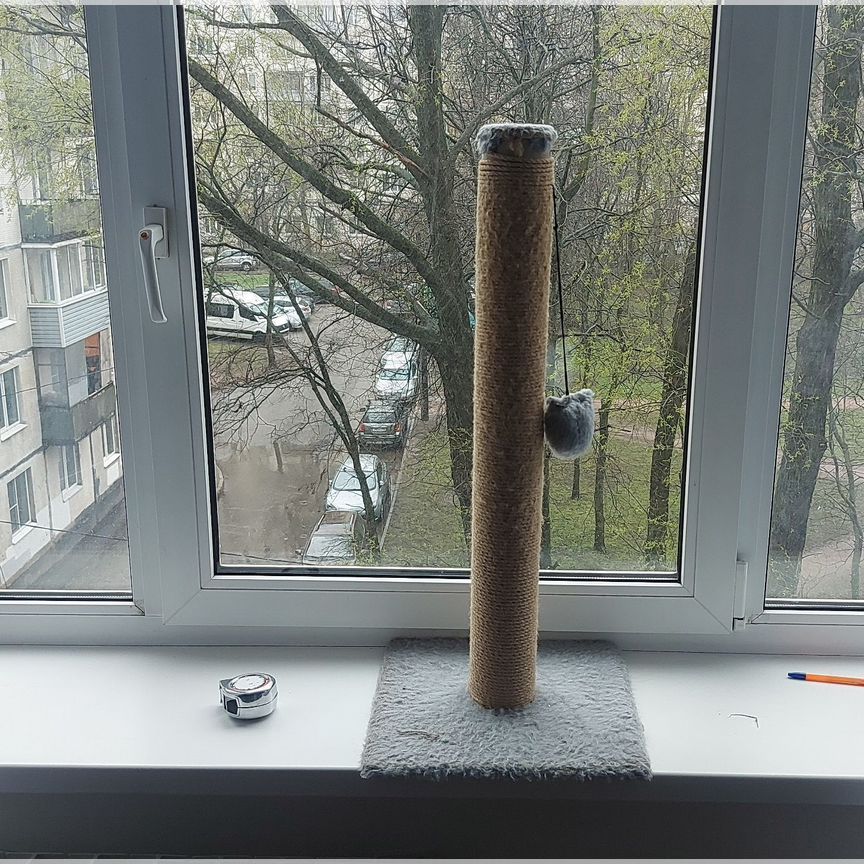 Когтеточка столбик высокая