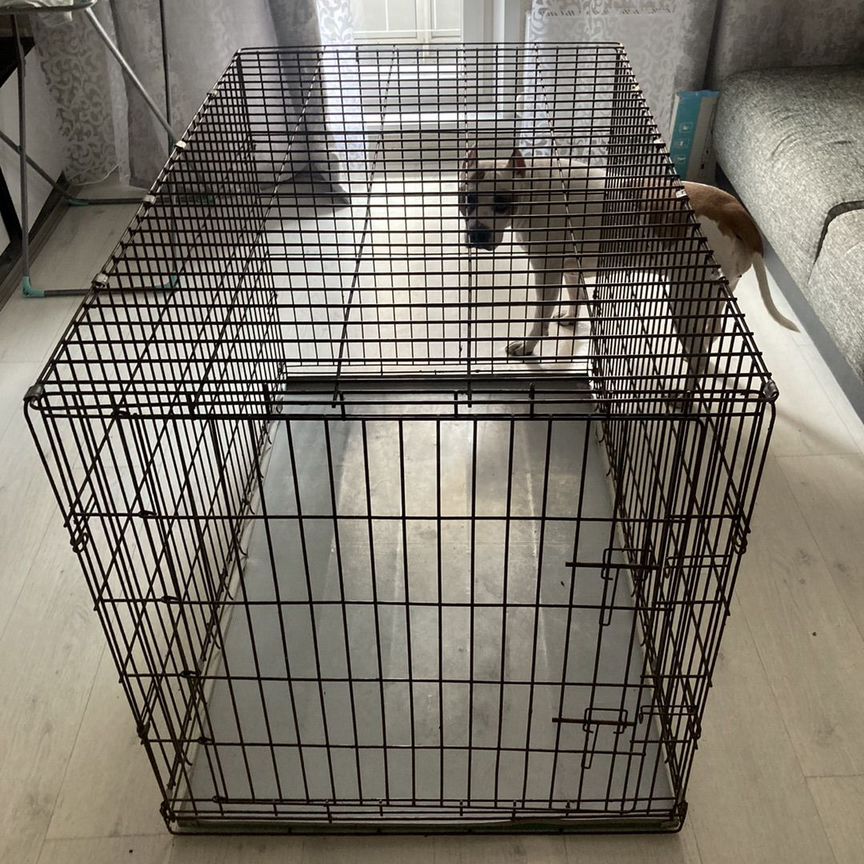 Вольер клетка для больших собак