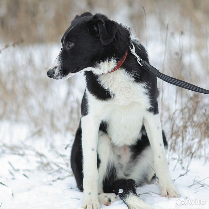 Выросла в приюте. Семья не нашлась