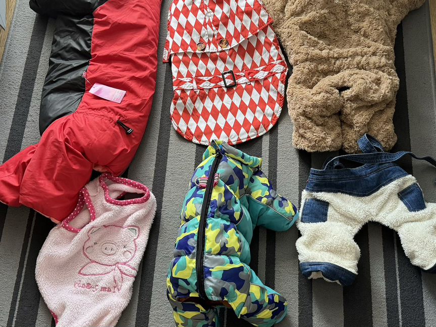 Одежда для собак