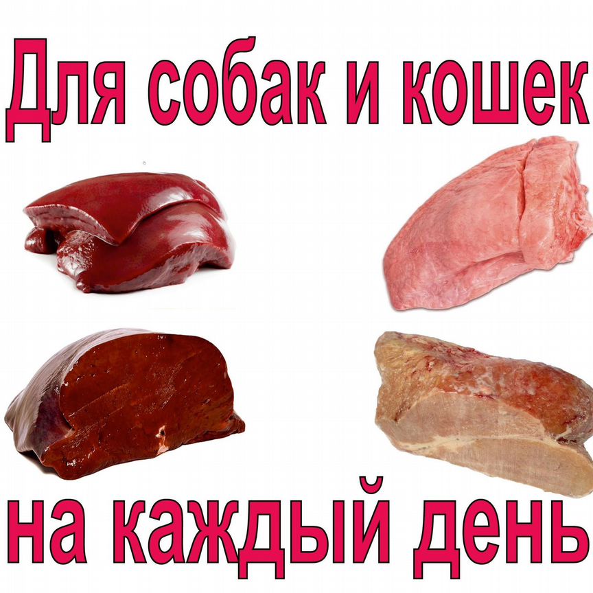 Мясо. Субпродукты для собак - доставка
