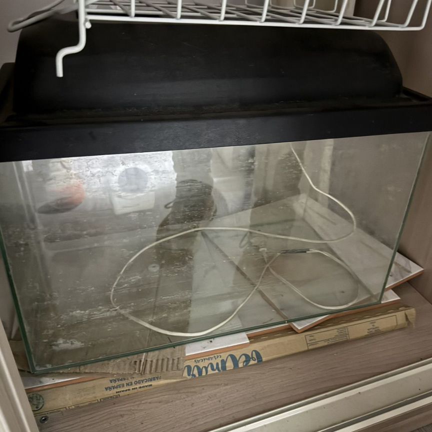 Аквариум на 60 литров