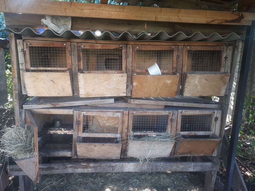 Клетка для кролов