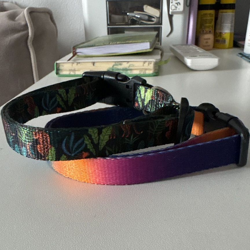 Ошейник для маленькой собаки размер s