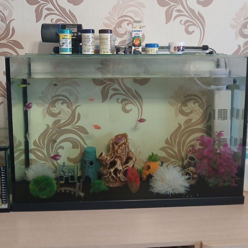 Аквариум с рыбками большой